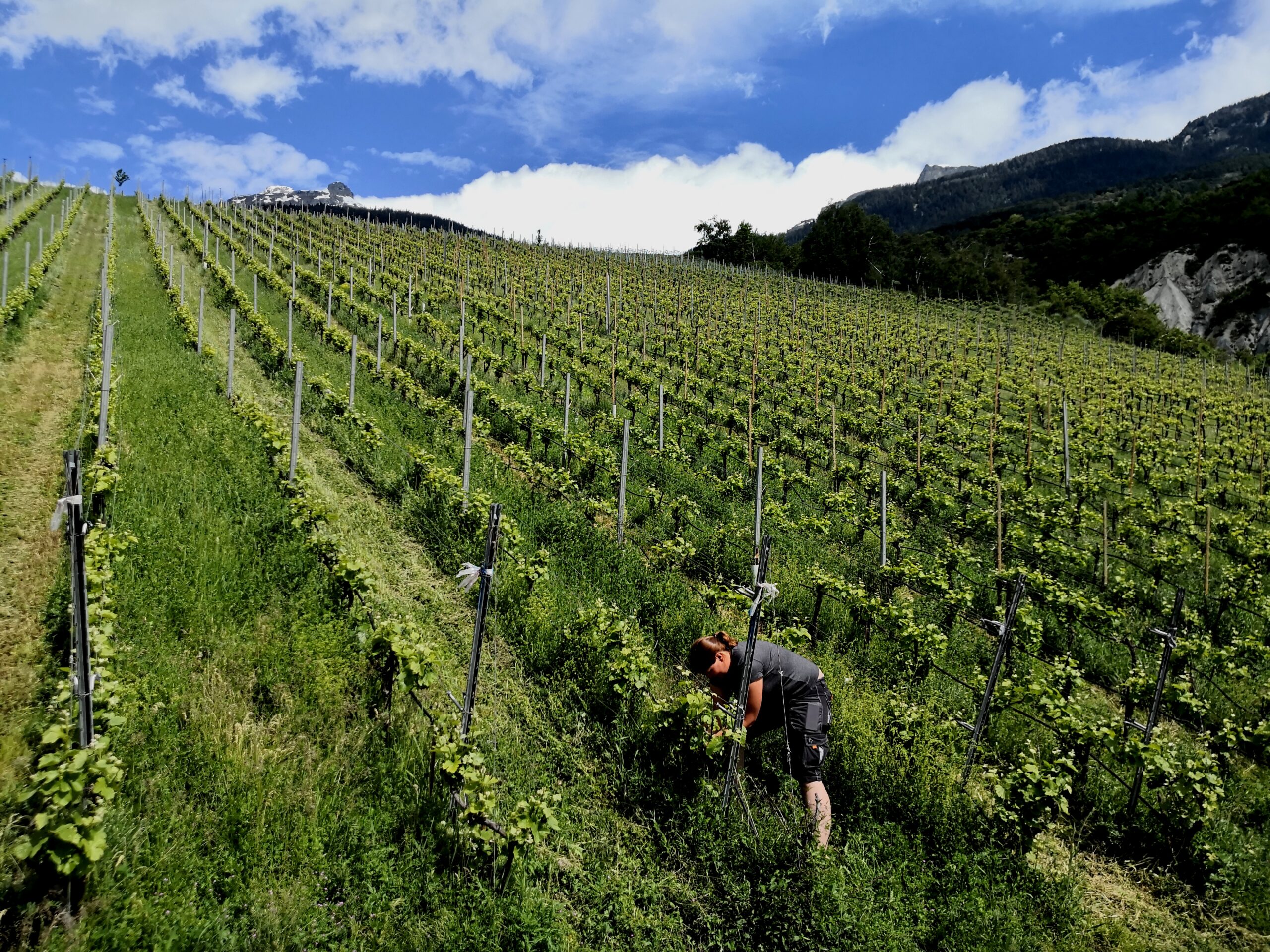 Wallis - Urlaub Schweiz